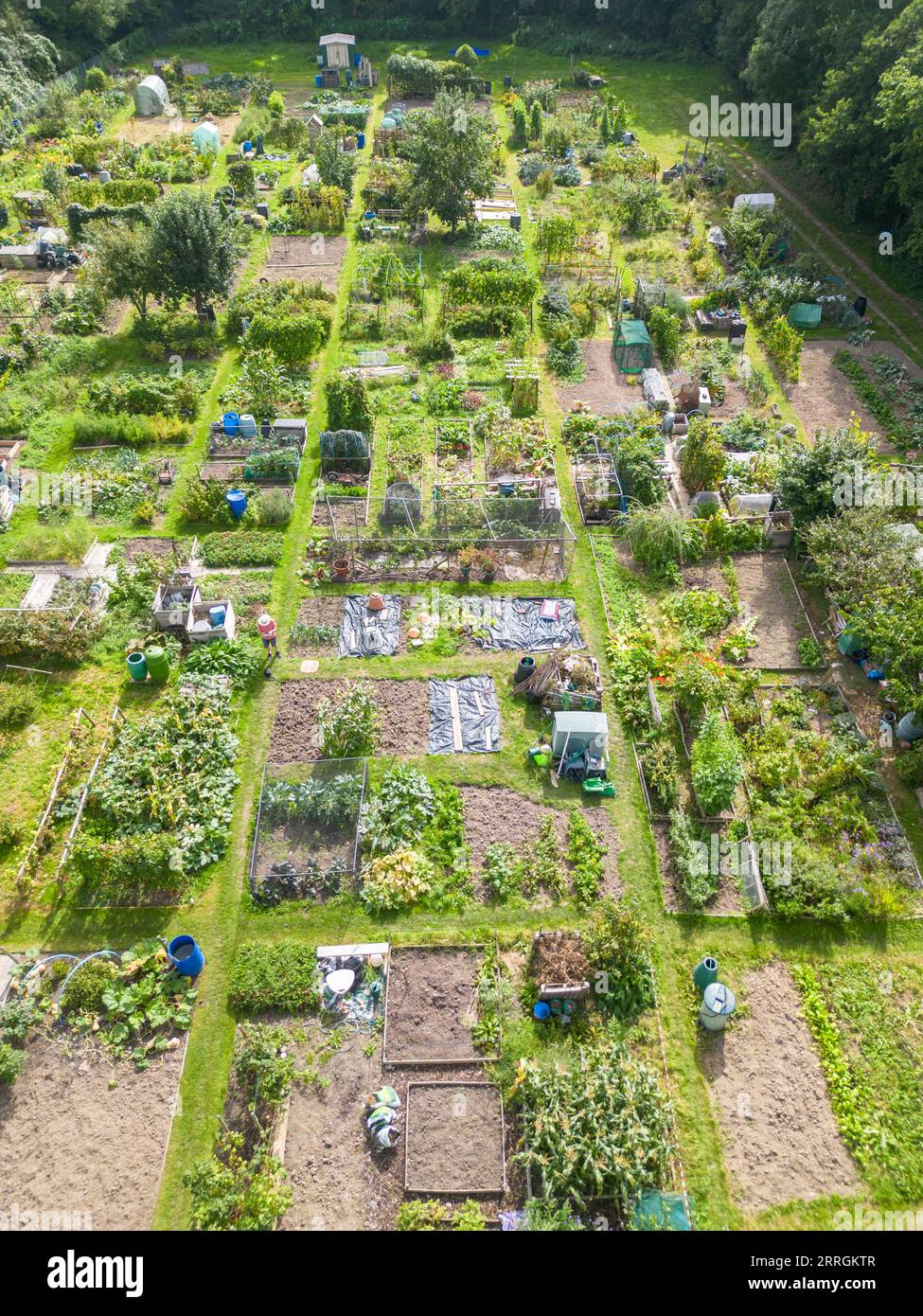 Allotment aerial hi-res stock photography and images - Alamy