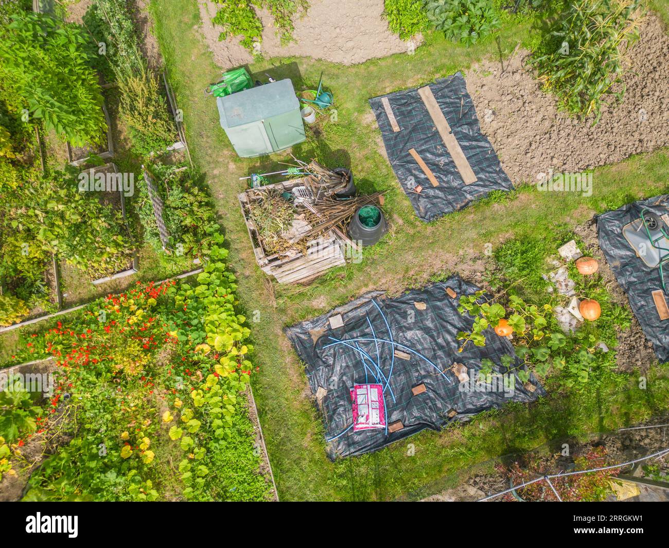 aerial view of my allotments in early September in Burgess Hill West ...