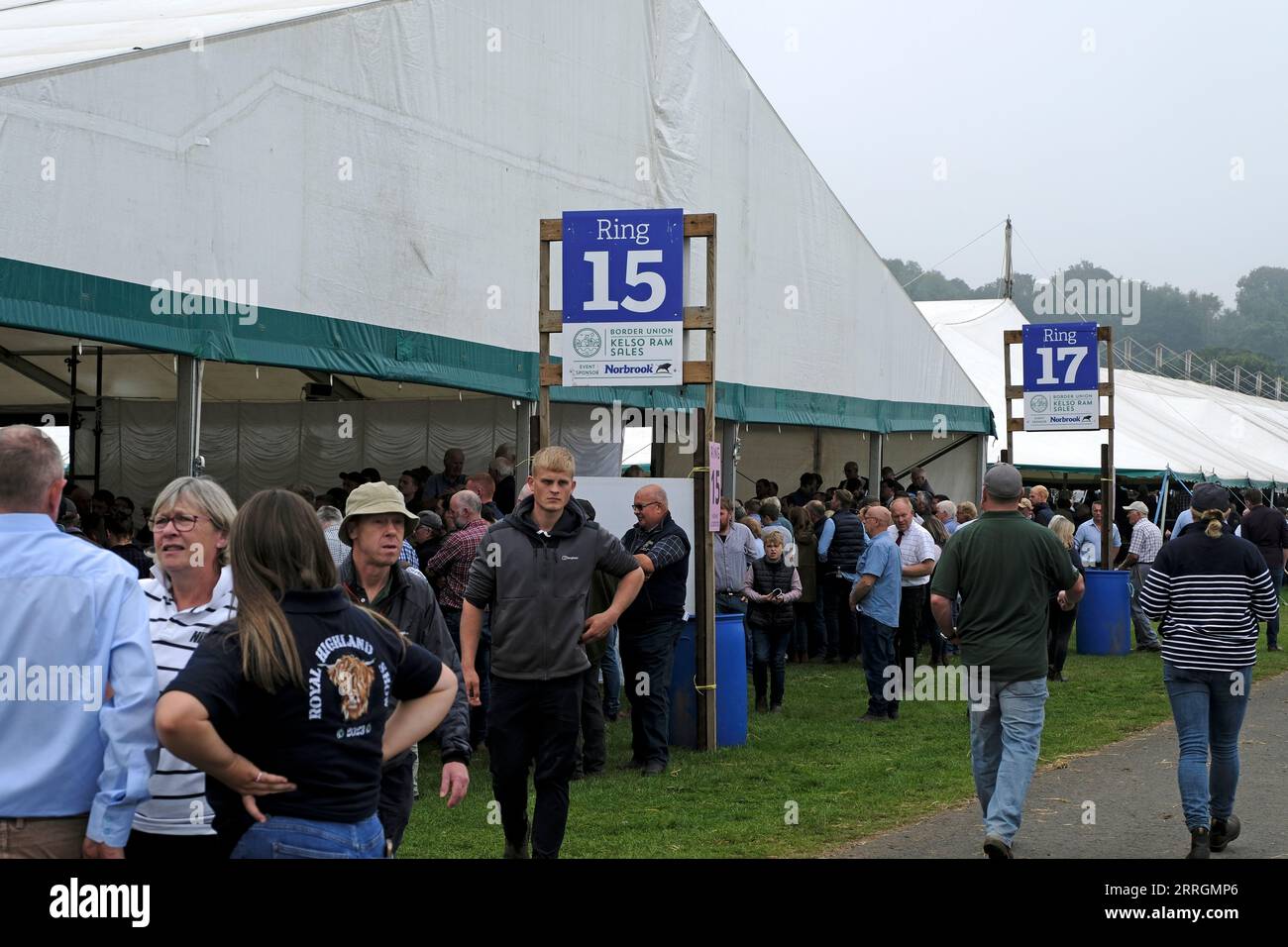Texel tup hi-res stock photography and images - Alamy