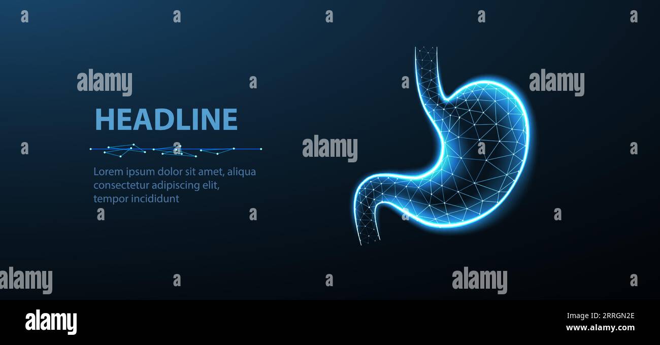 Abstract wireframe stomach illustrration. Stomach anatomy, 3D ...