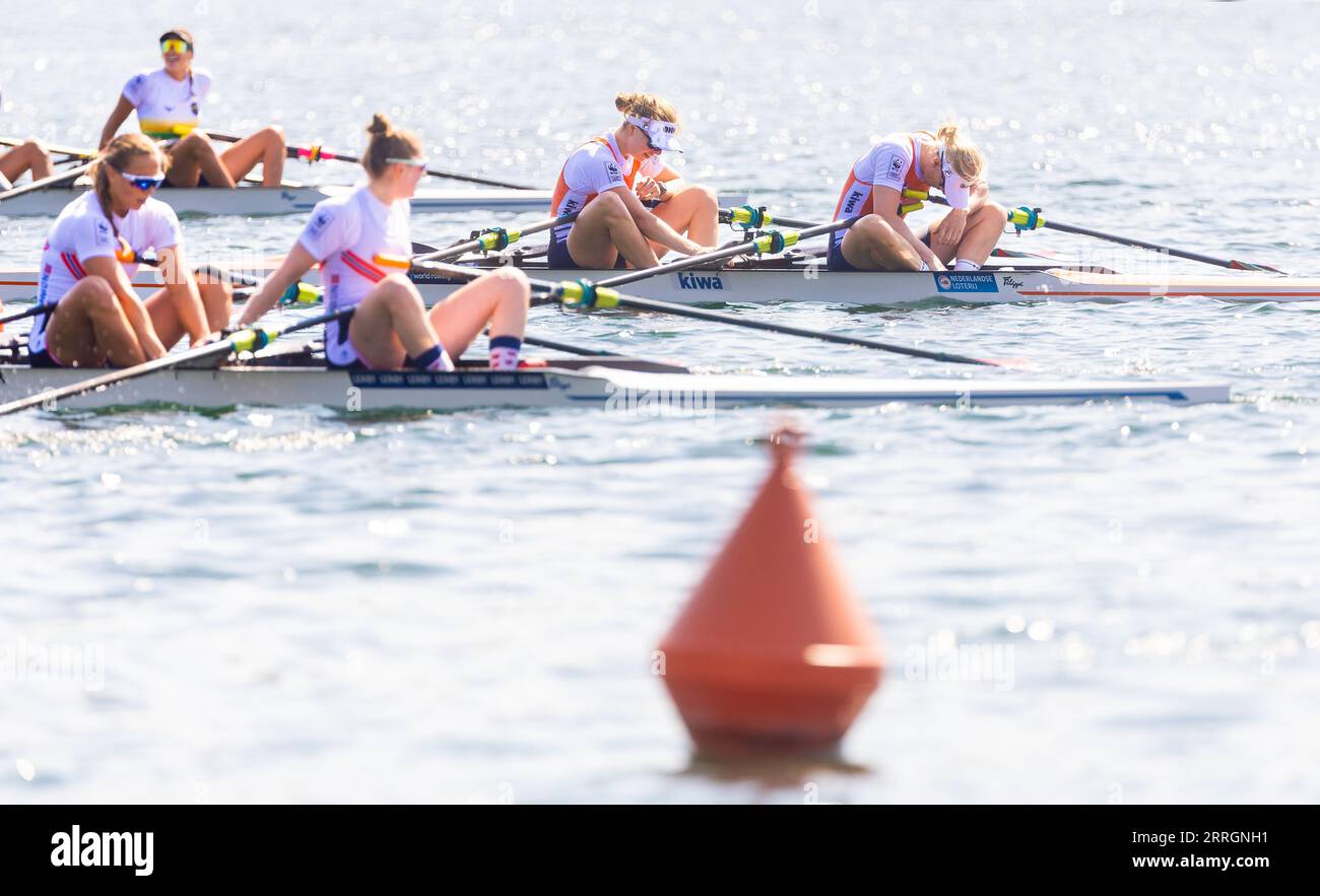 Double skiff skull hi-res stock photography and images - Alamy