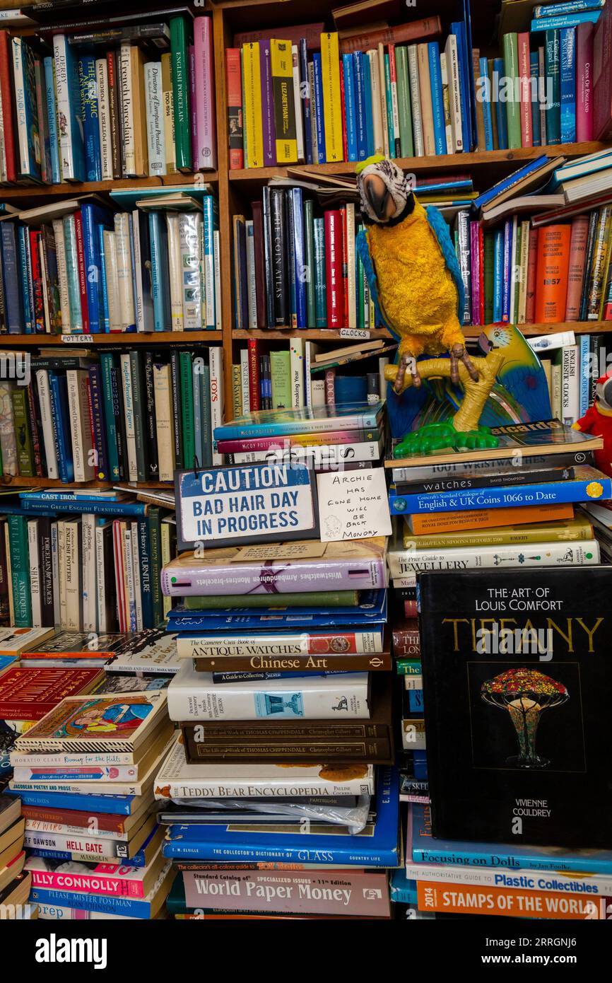 Piles of books inside Camillas Bookshop at 57 Grove Rd, Little Chelsea ...