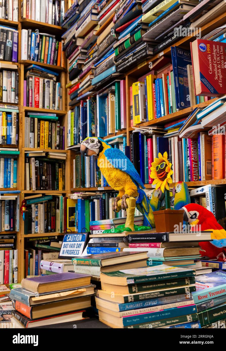Inside old book shop hi-res stock photography and images - Alamy