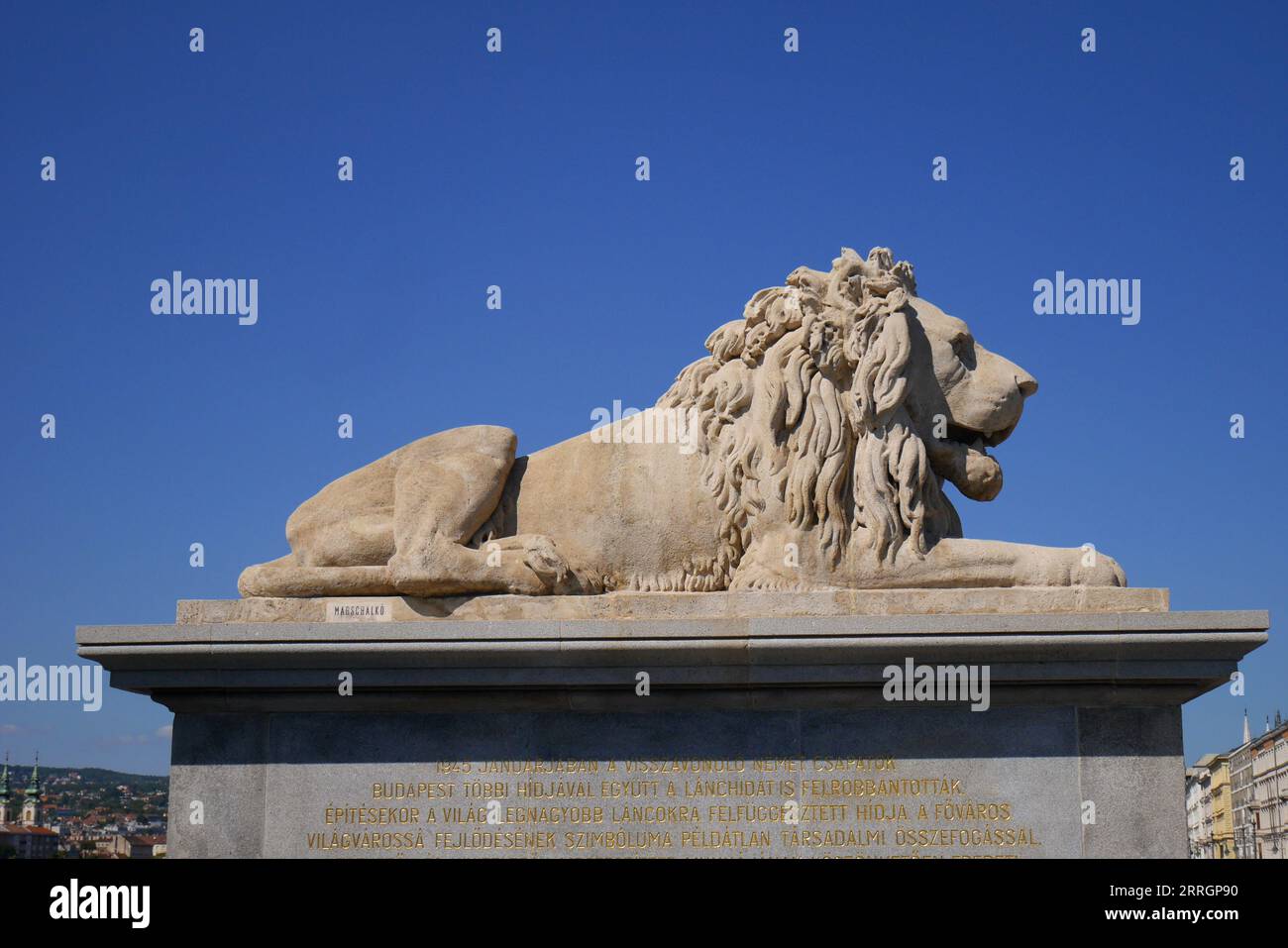 Statue of a lion on the Pest side of the Chain Bridge, which crosses ...