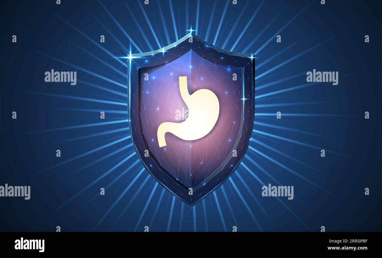 Abstract shield with stomach icon. Stomach protect, 3D gastroenterology ...