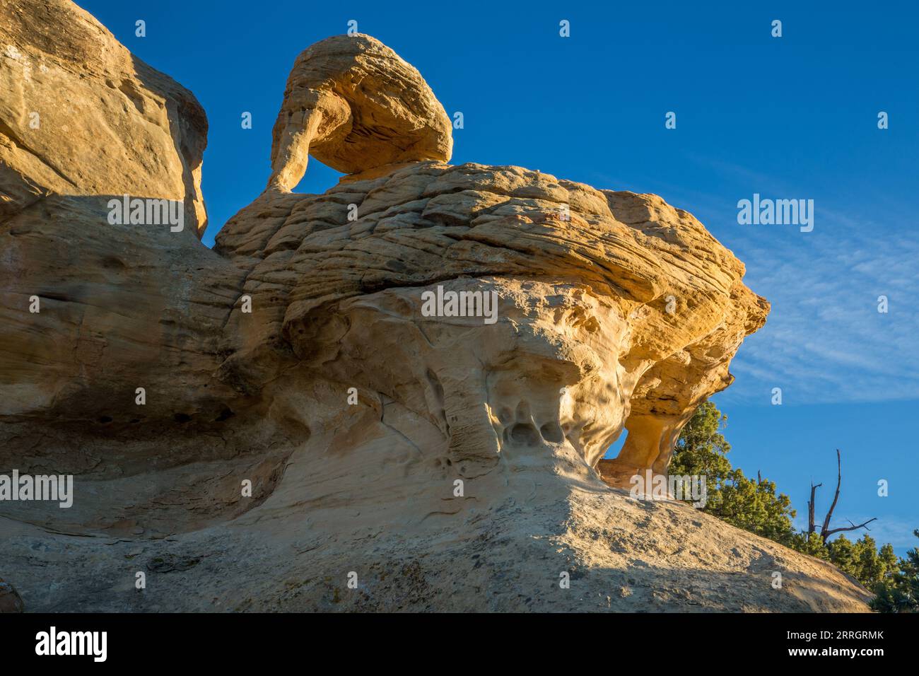 Collet Arch on the Kaiparowits Plateau in the Grand Staircase-Escalante ...