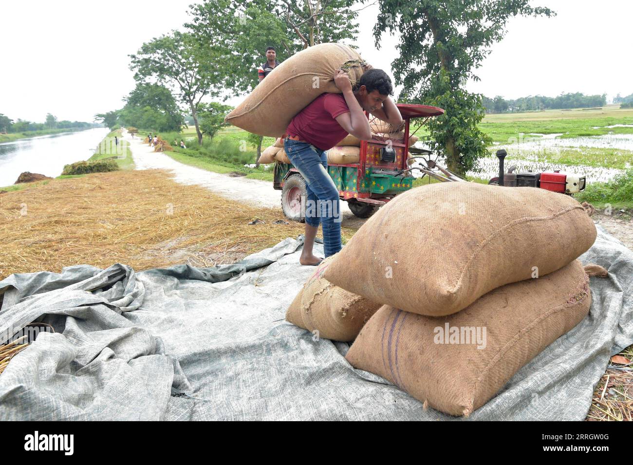 The cycle of poverty hi-res stock photography and images - Alamy