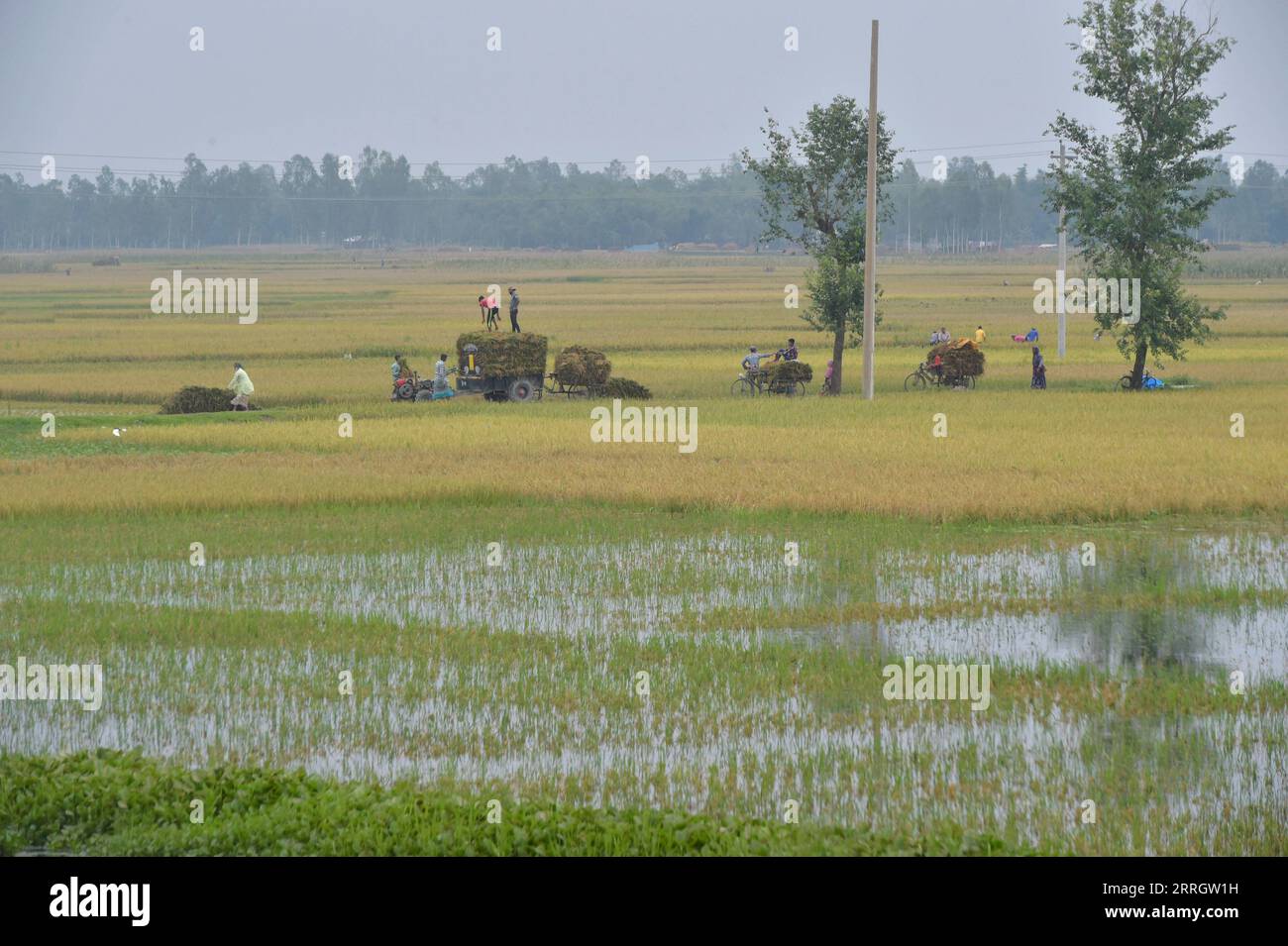 The cycle of poverty hi-res stock photography and images - Alamy