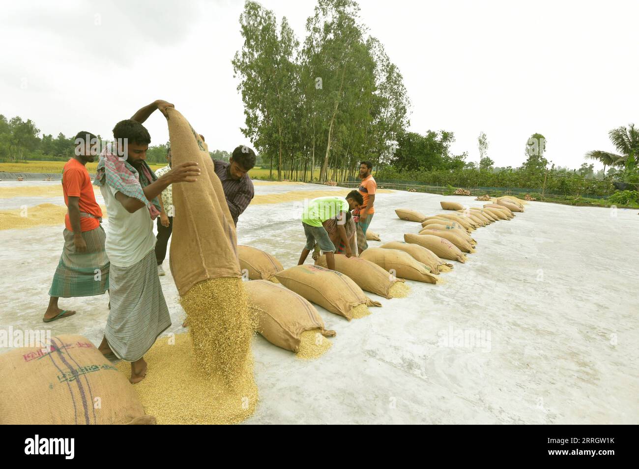 The cycle of poverty hi-res stock photography and images - Alamy