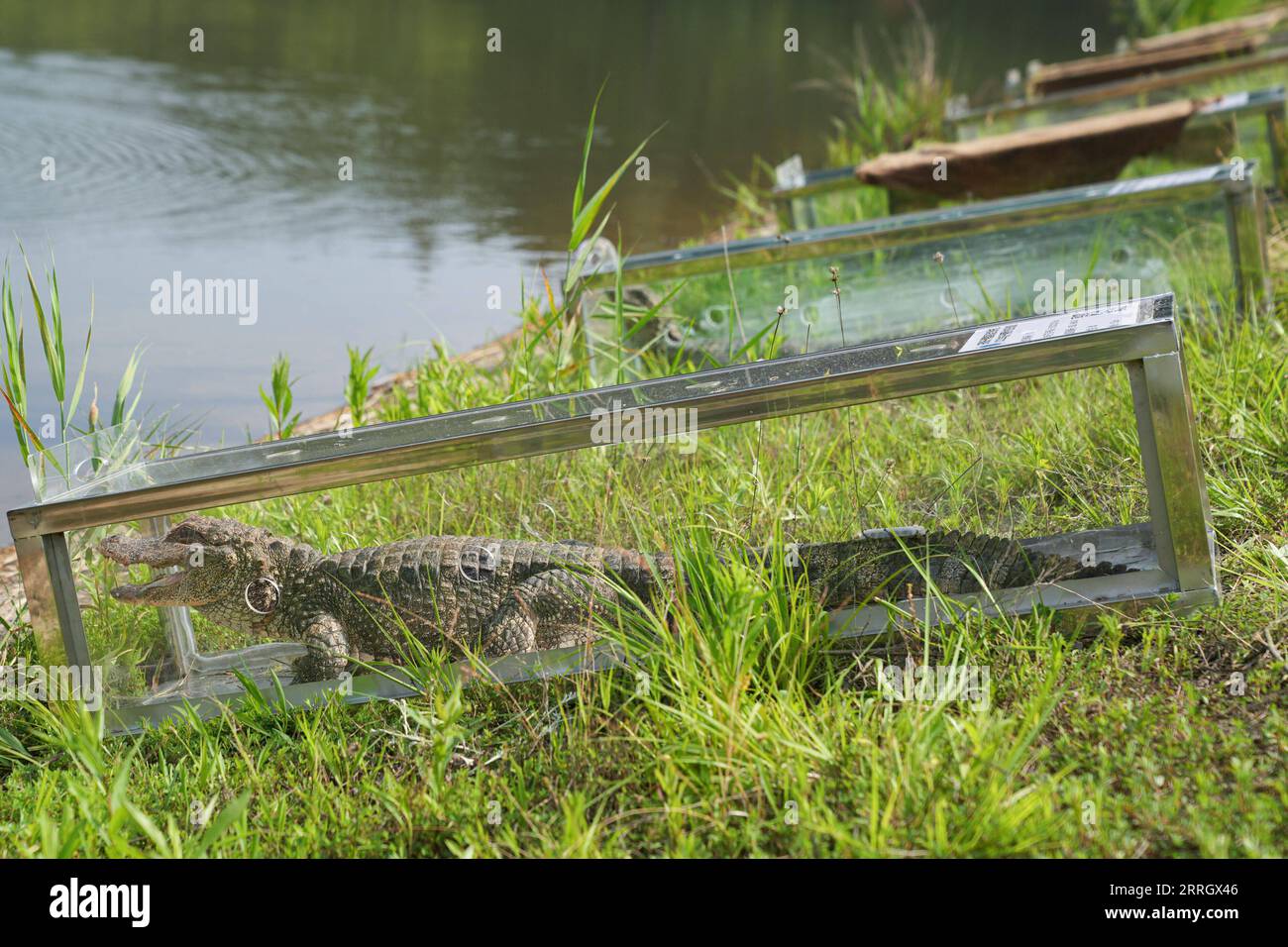 220602 -- LANGXI, June 2, 2022 -- Photo taken on June 2, 2022 shows ...