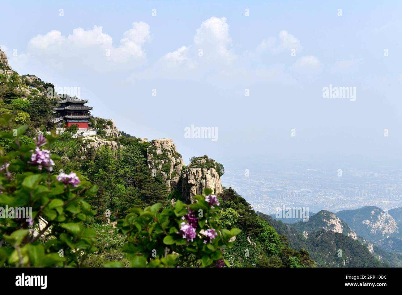 Terconnected hi-res stock photography and images - Alamy