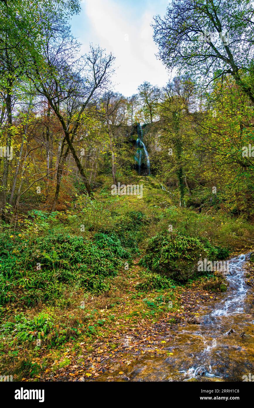 Germany, Colorful autumn forest trees nature landscape bad urach ...