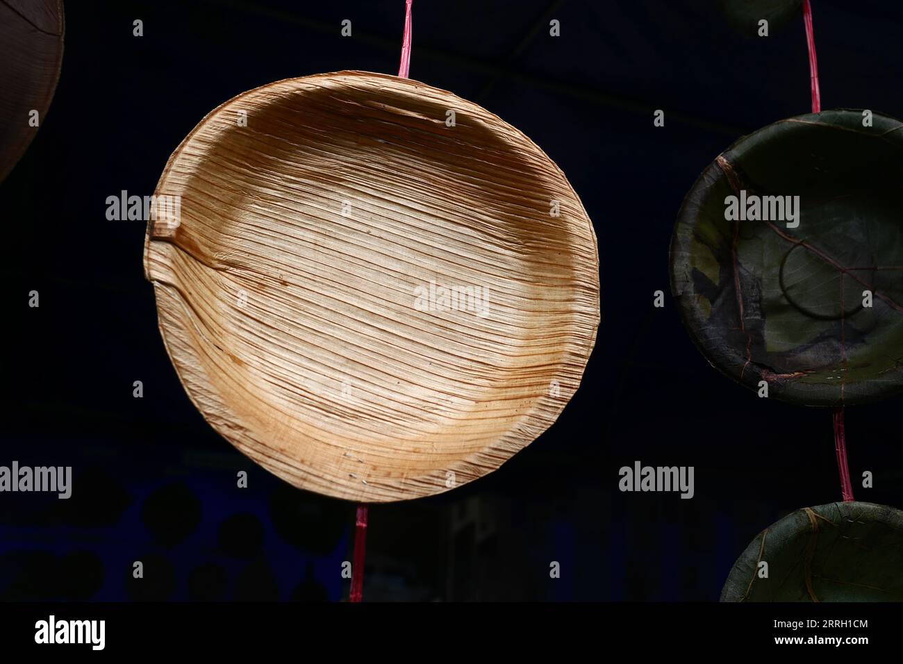 Recyclable Plates Are Made From Leaves.The Green product eco friendly ...