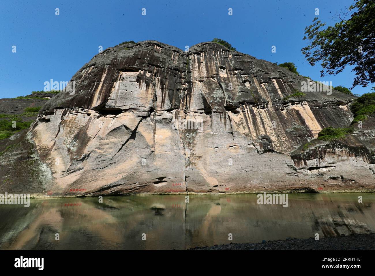 Relic habitat hi-res stock photography and images - Alamy