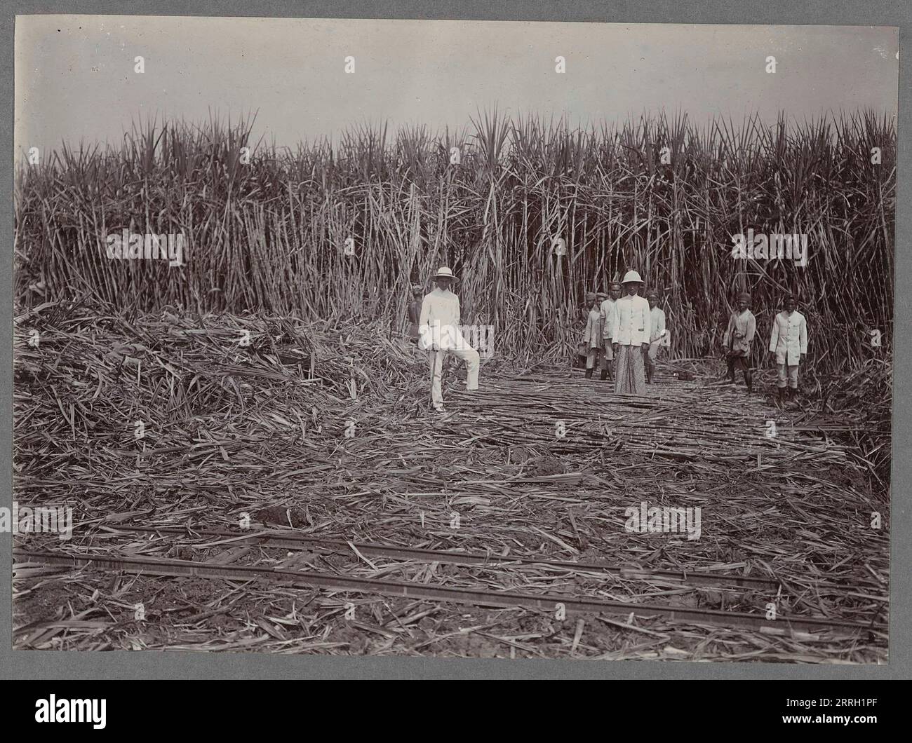 Tjomal sugar factory hi-res stock photography and images - Alamy