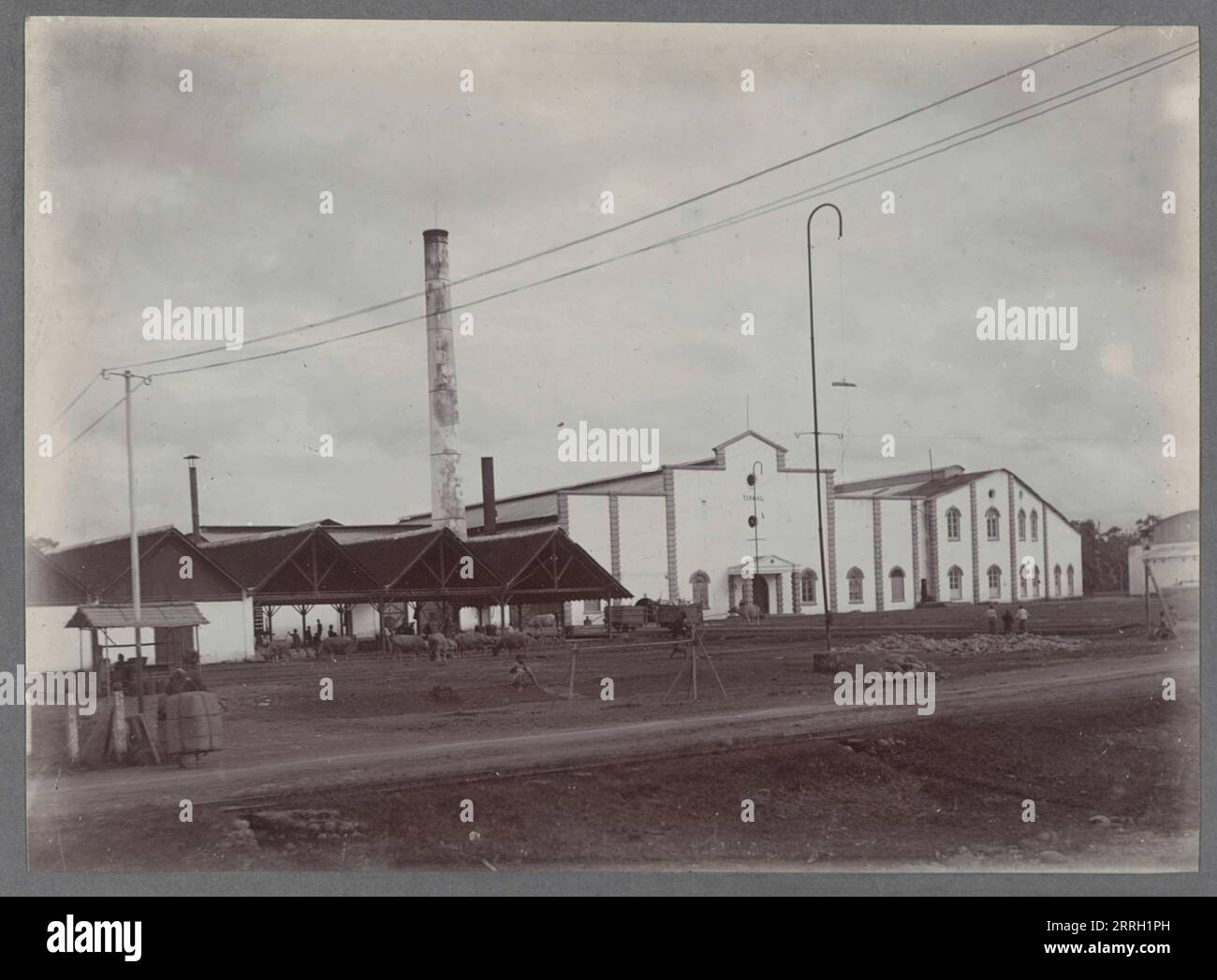 View of the sugar factory buildings. Part of the photo album of the ...