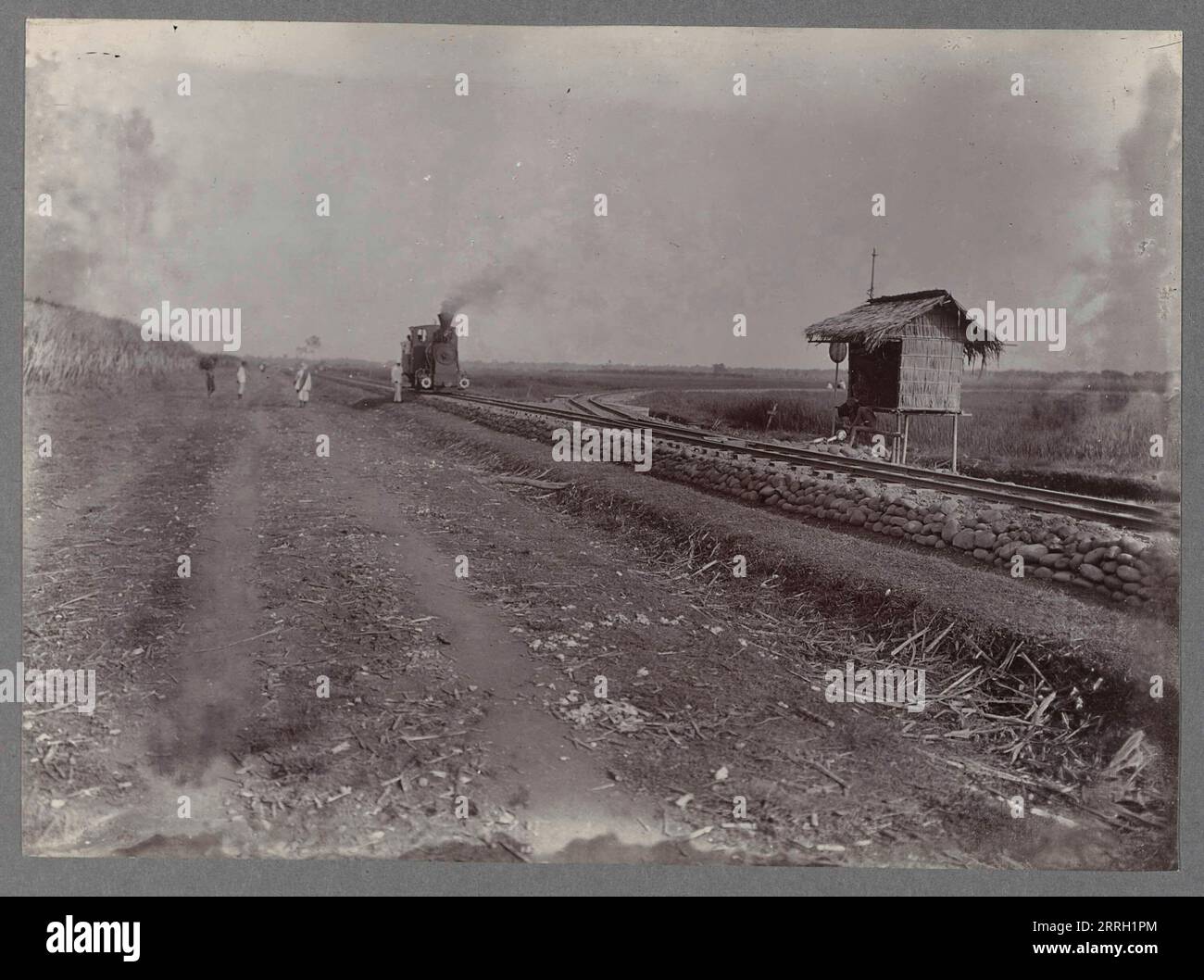 Locomotives at the factory building or station at the sugar factory ...