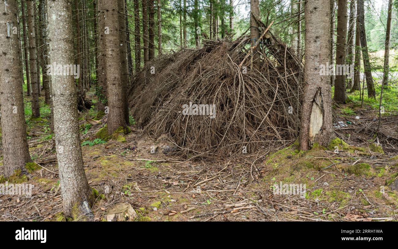 Made from branches hi-res stock photography and images - Alamy