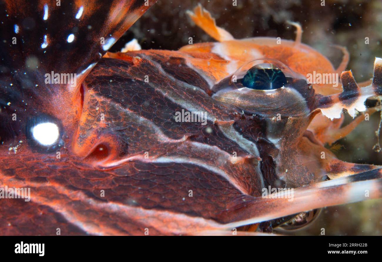 220608 -- LINGSHUI, June 8, 2022 -- Photo taken on May 27, 2022 shows ...