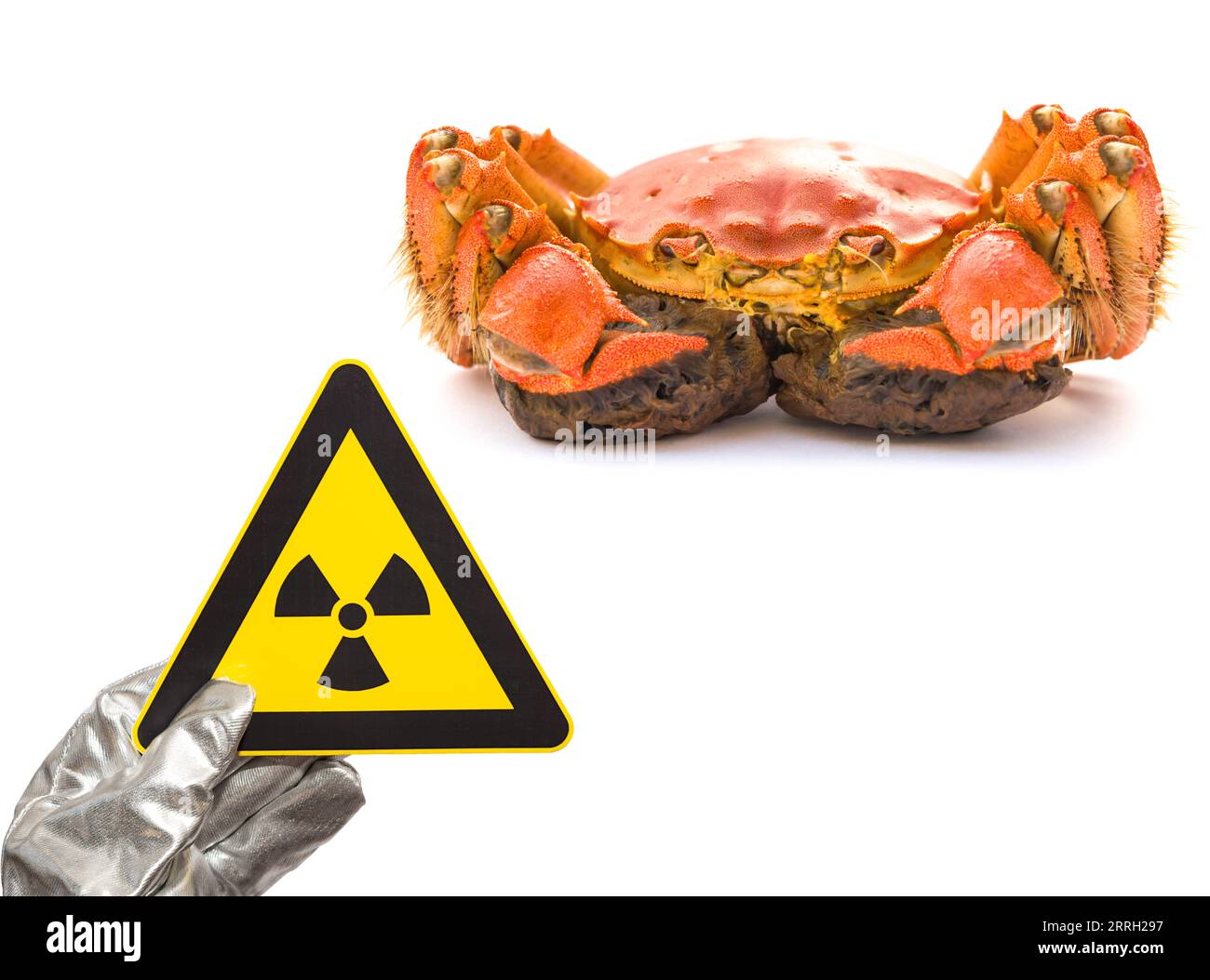 Pollution crab Cut Out Stock Images & Pictures - Alamy