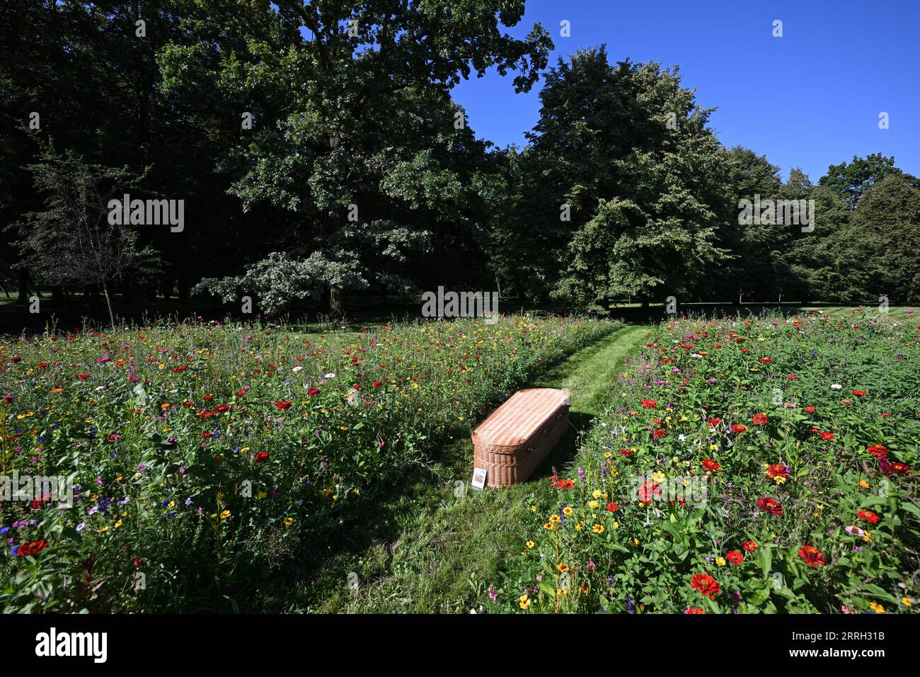 Prague, Czech Republic. 08th Sep, 2023. The Meadow Cemetery, first ...