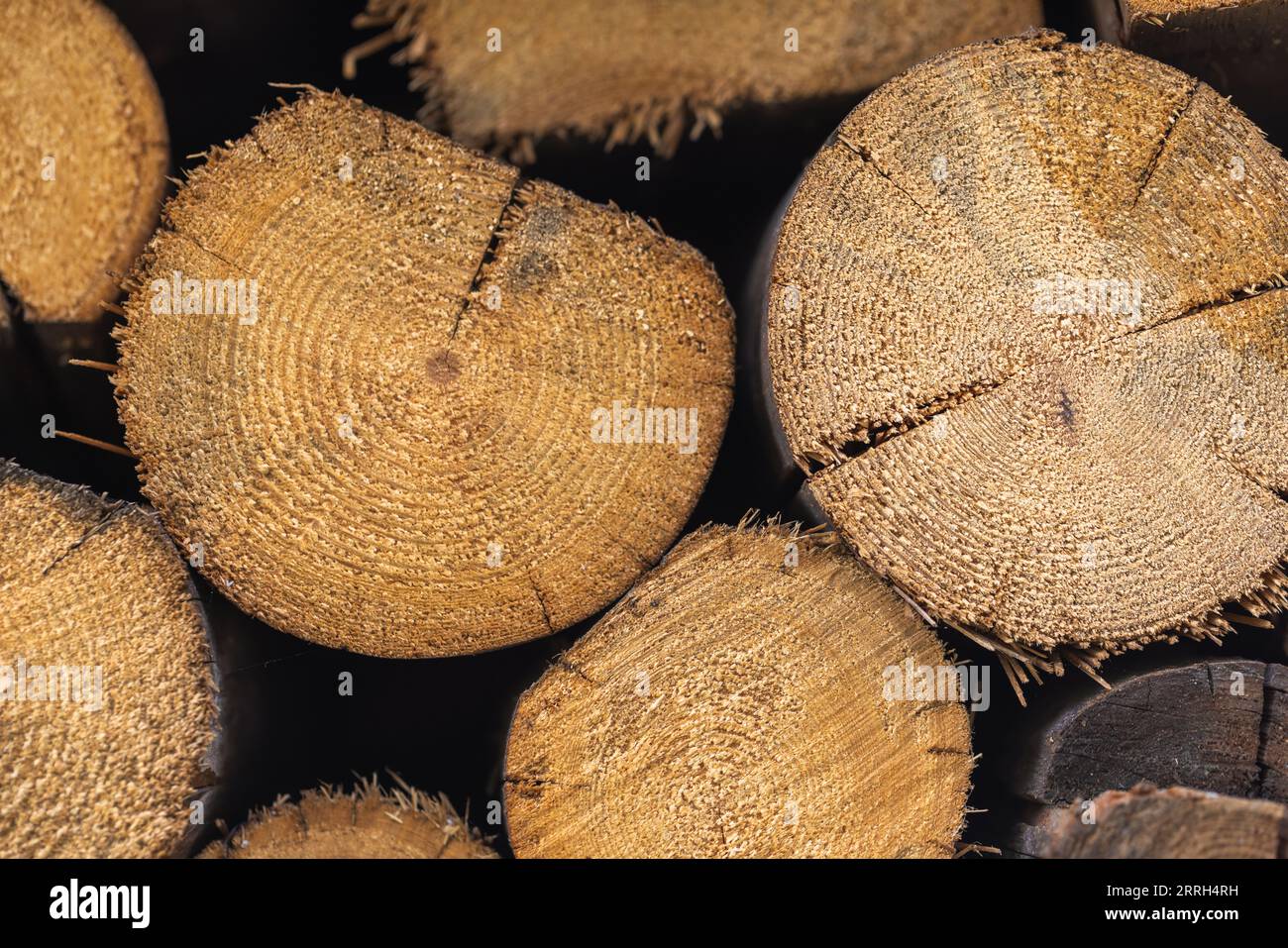 Stacked rough wooden logs, firewood background photo texture Stock ...