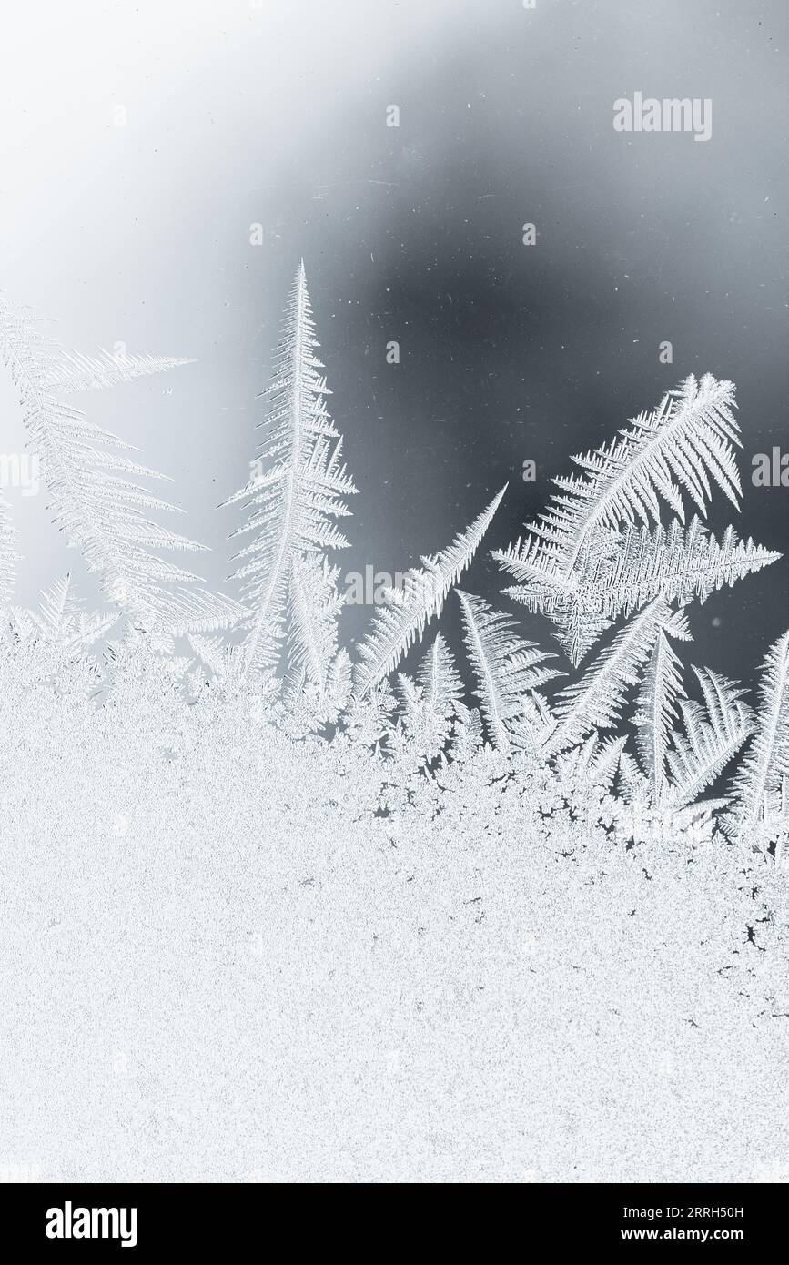 Frost design hi-res stock photography and images - Alamy