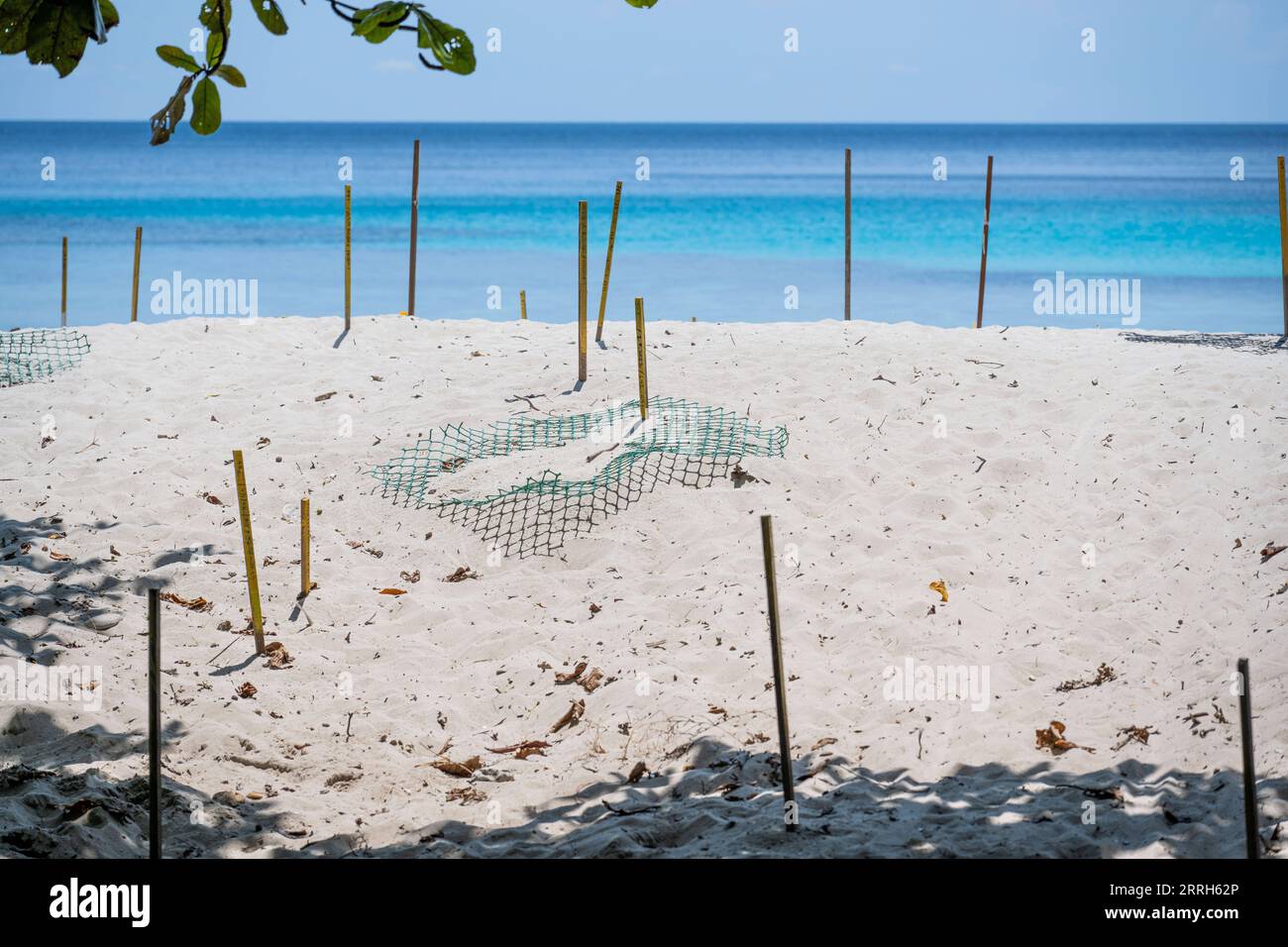 220616 -- REDANG ISLAND, June 16, 2022 -- Photo taken on June 14, 2022 ...
