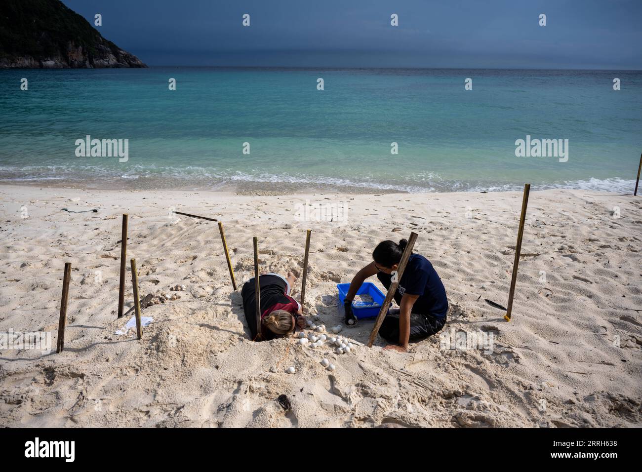 220616 -- REDANG ISLAND, June 16, 2022 -- Volunteers check the sea ...