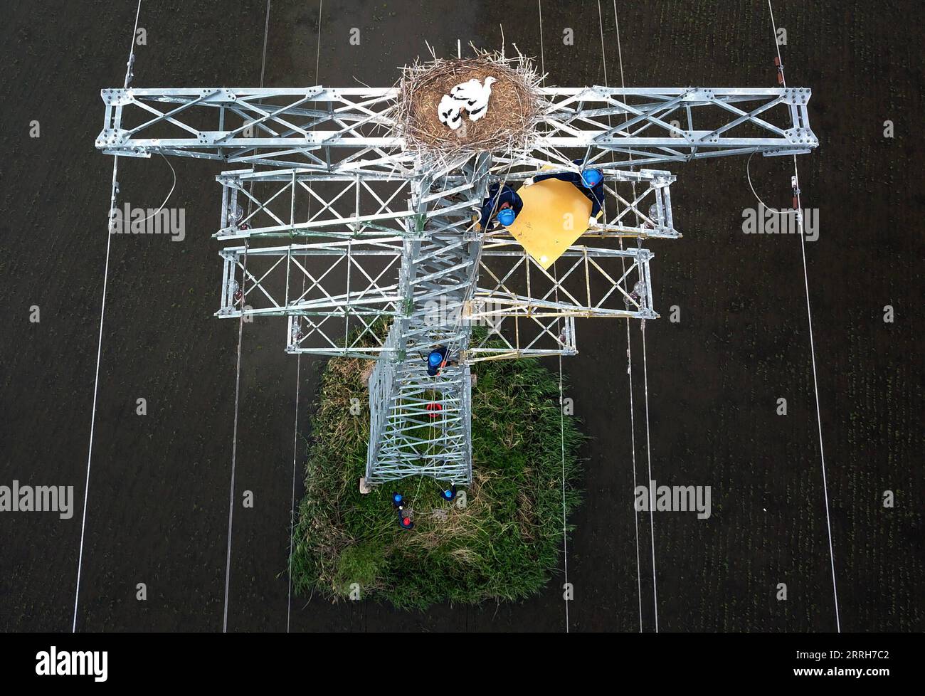 220618 -- HARBIN, June 18, 2022 -- Aerial photo taken on June 15, 2022 ...