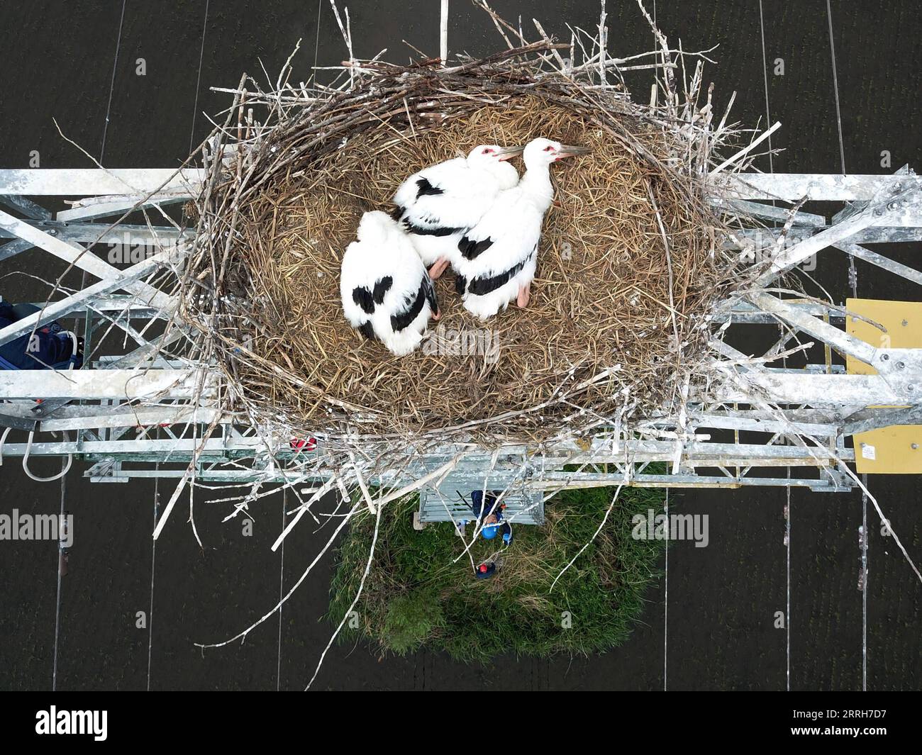 220618 -- HARBIN, June 18, 2022 -- In this aerial photo taken on June ...