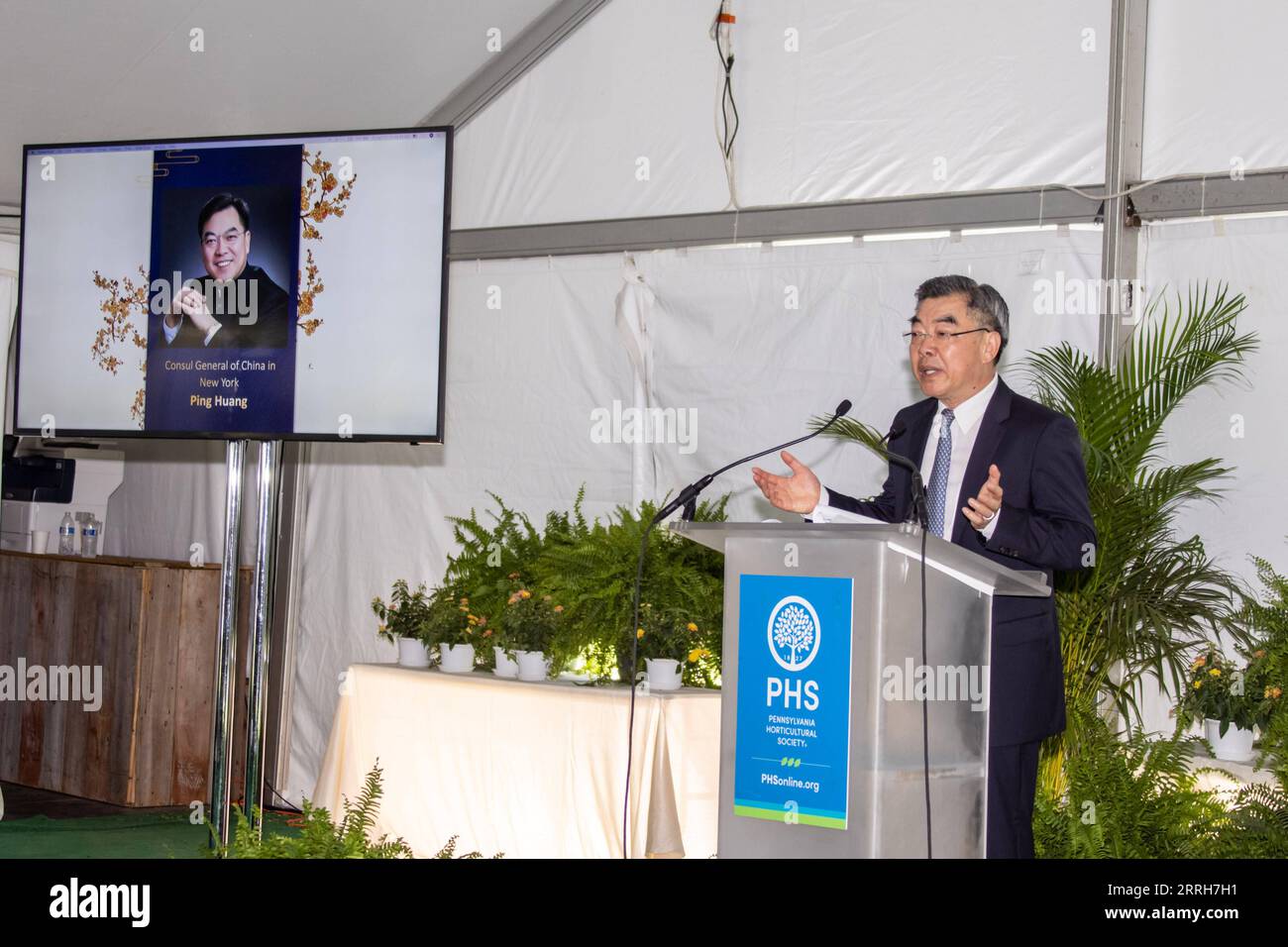 Kung fu tea new york hi-res stock photography and images - Alamy