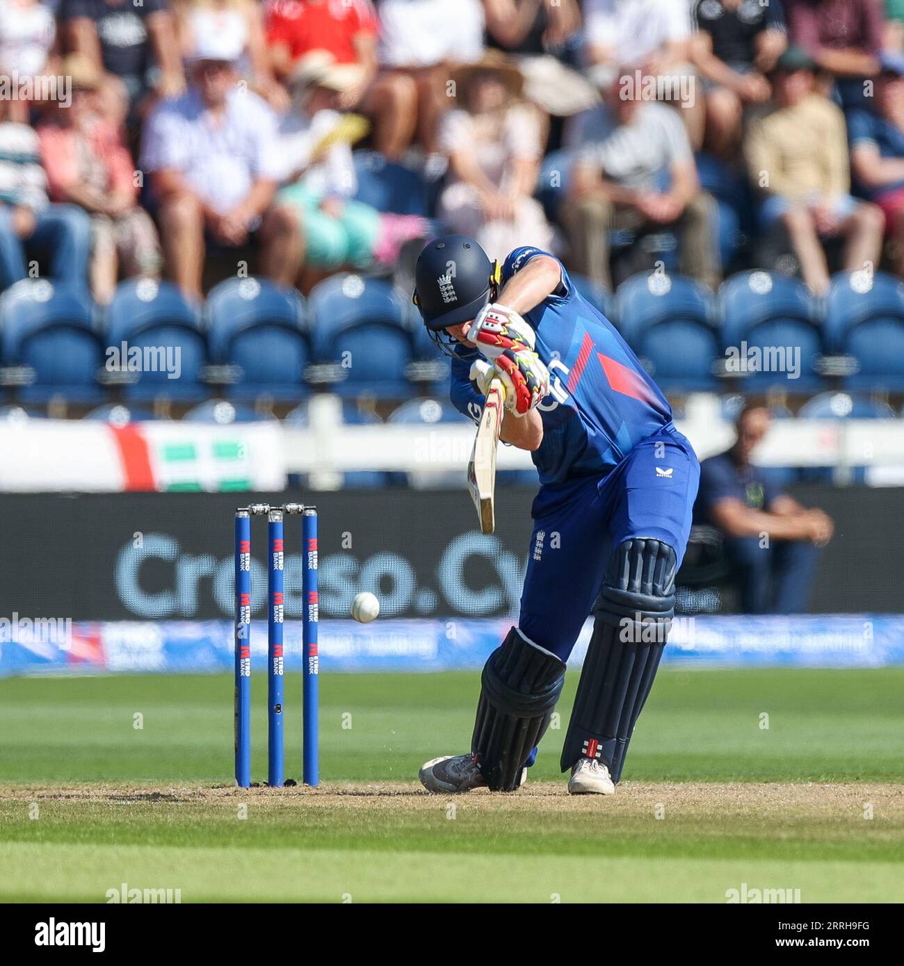 Malan new zealand hi-res stock photography and images - Alamy