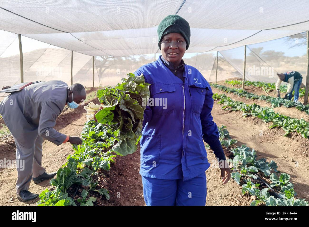Windhoek People Windhoek Centre, Walking People, Daily Life, Namibia,