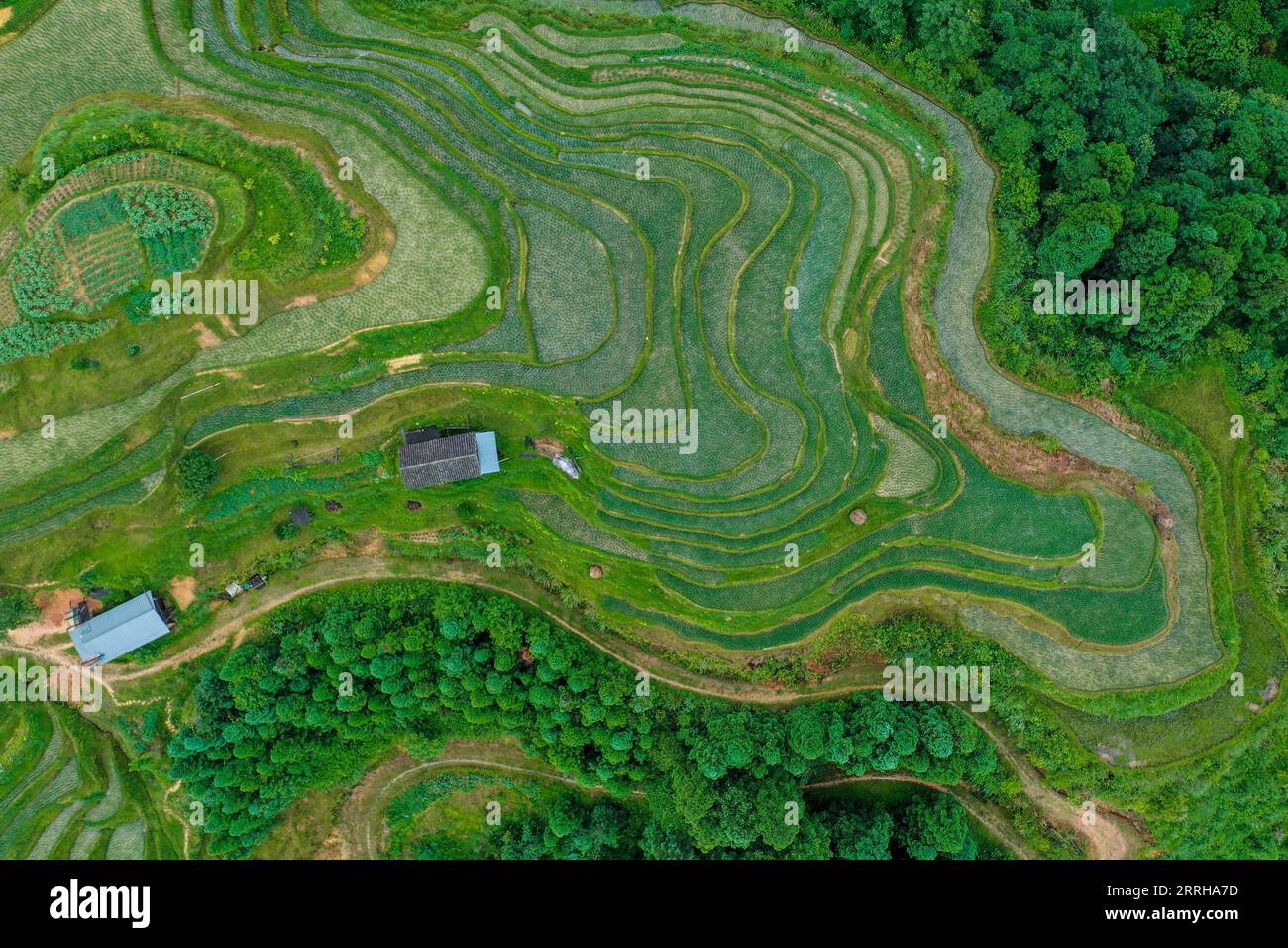 220623 -- RONGJIANG, June 23, 2022 -- Aerial photo taken on June 23 ...