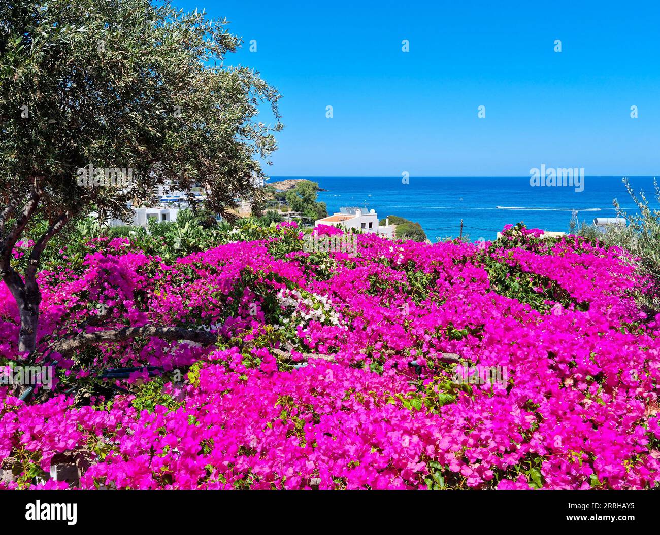 Crete island in aegean hi-res stock photography and images - Alamy