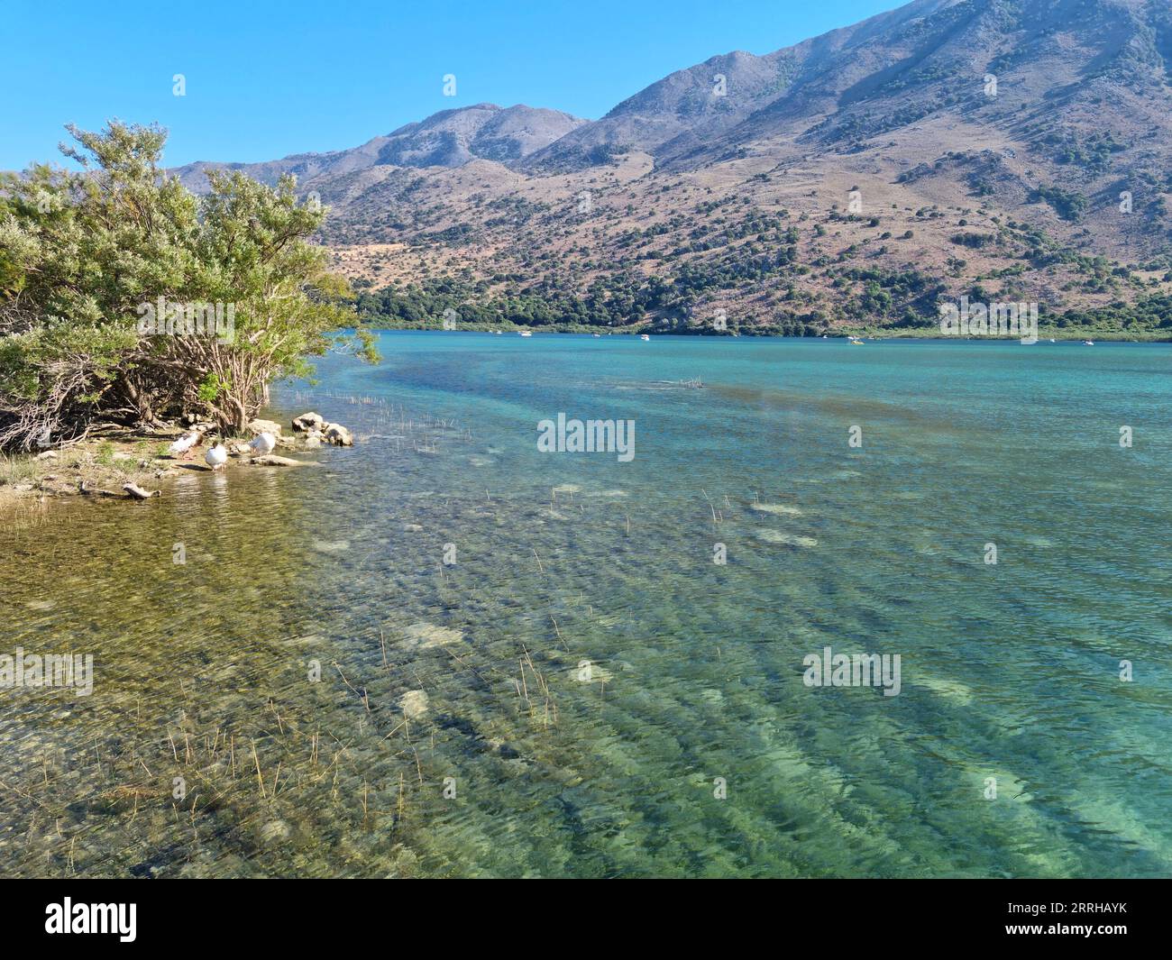 Tropical village in island freshwater hi-res stock photography and ...