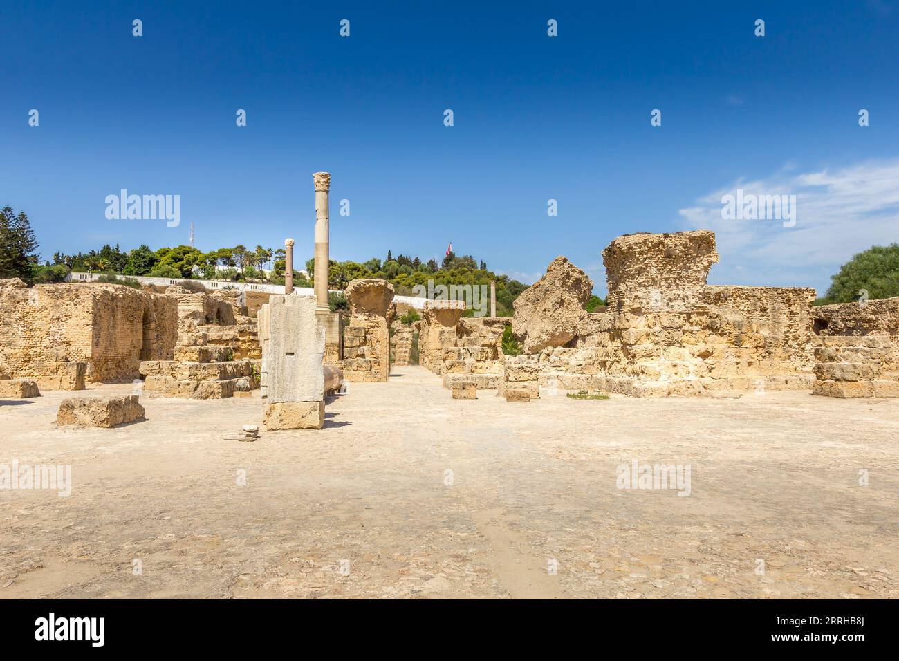 Archaeological site of Carthage, Tunisia Stock Photo - Alamy
