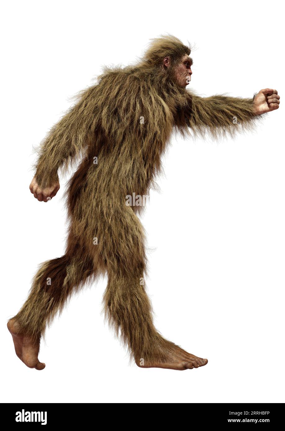 3D rendering of a Sasquatch or Bigfoot isolated on white background ...