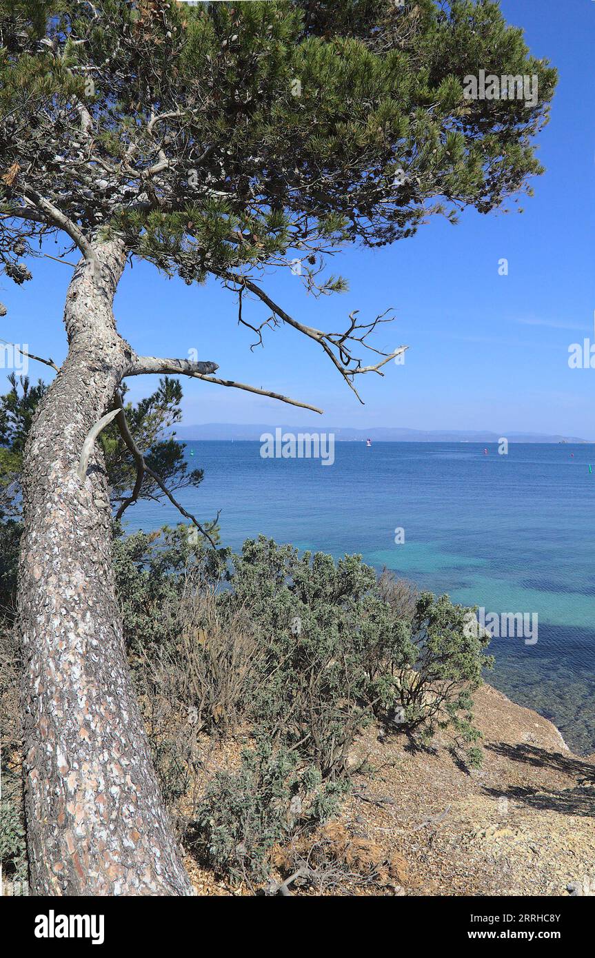 Porquerolles island beach hi-res stock photography and images - Alamy