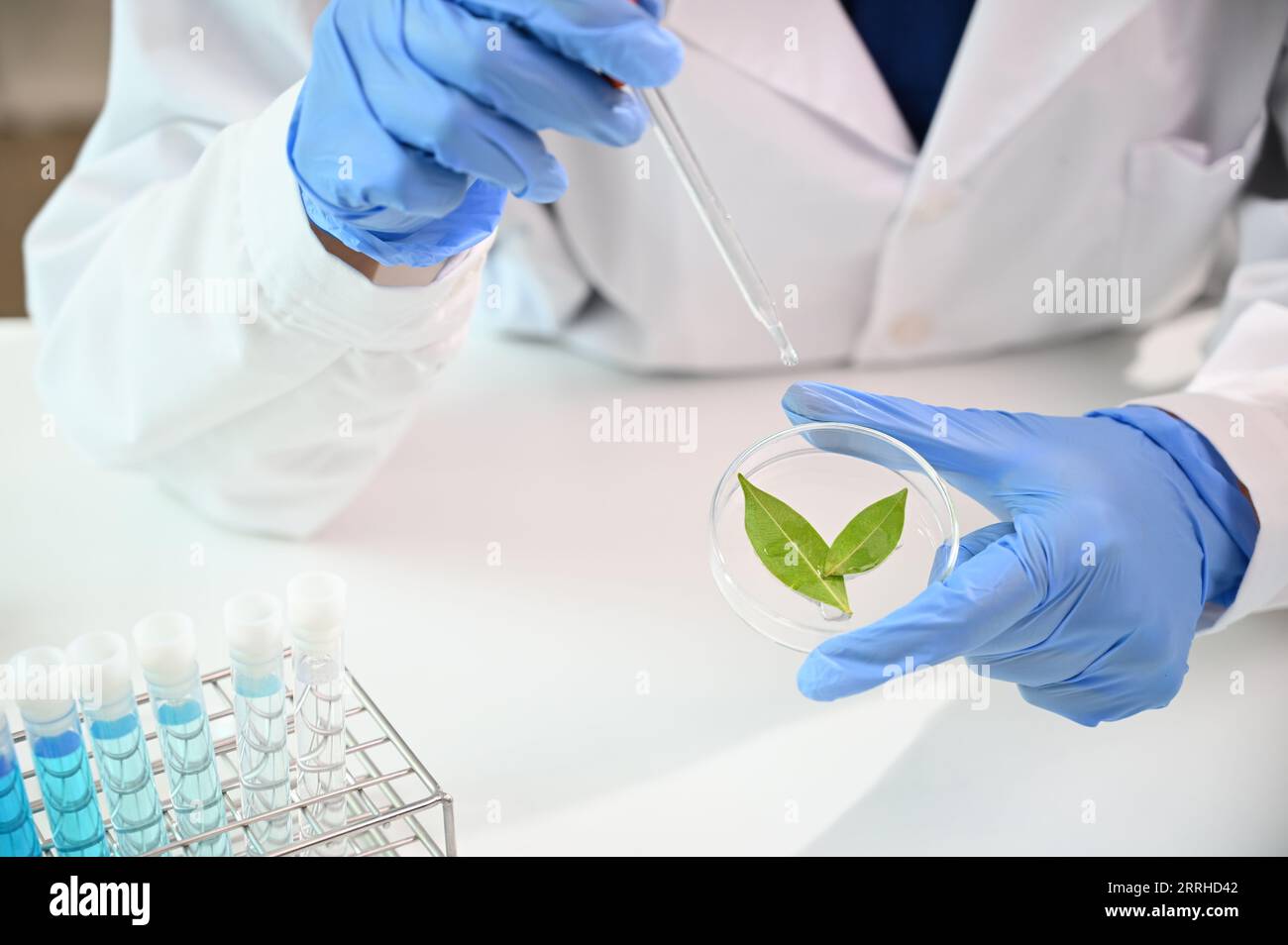 laboratory, woman, medical, scientist, research, science, medicine ...