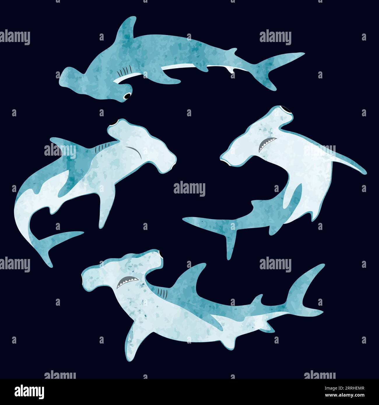 Watercolor hammerhead shark set. Vector illustration Stock Vector Image ...