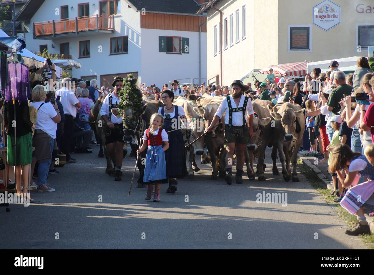 Rettenberg, Germany. 08th Sep, 2023. Alpine farmers with partly ...