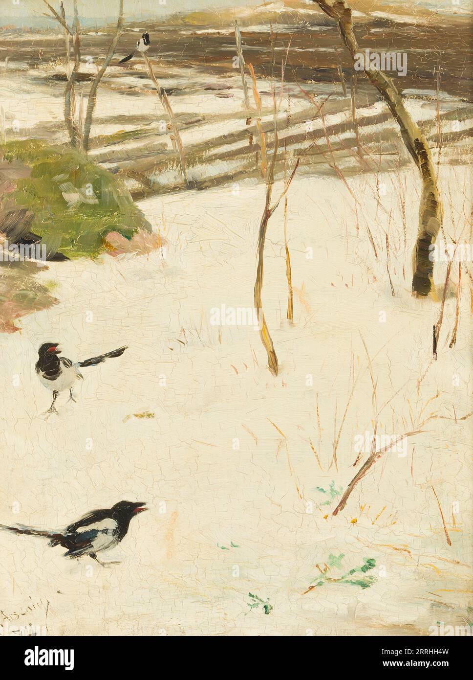 Winter Landscape with Magpies, 1884 Stock Photo - Alamy