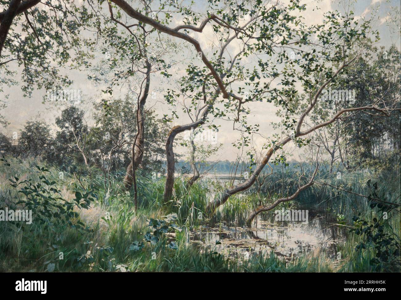 Aquatic Vegetation - Motif from Ostergotland, 1885 Stock Photo - Alamy