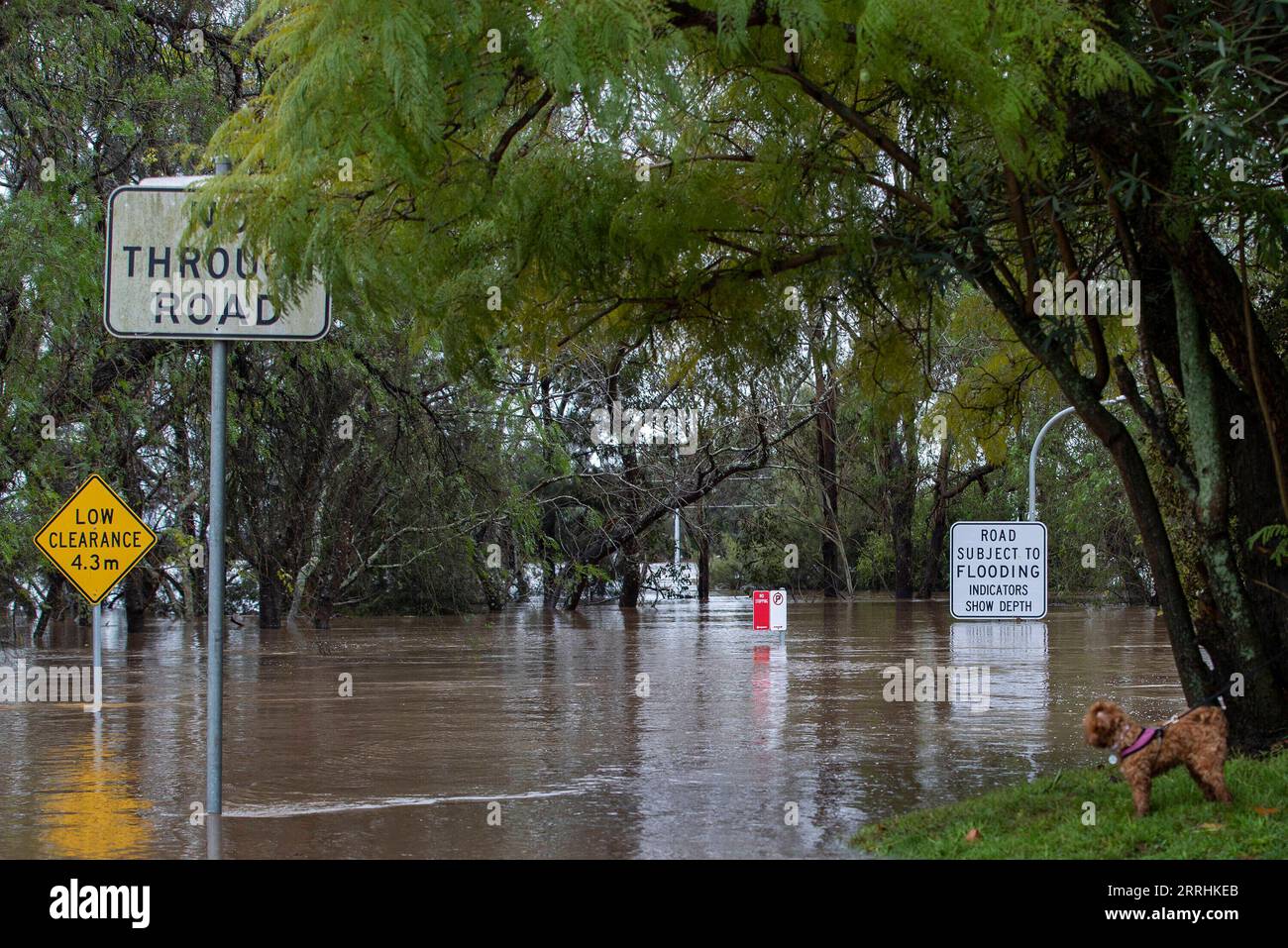 Nsw flood 2022 hi-res stock photography and images - Alamy