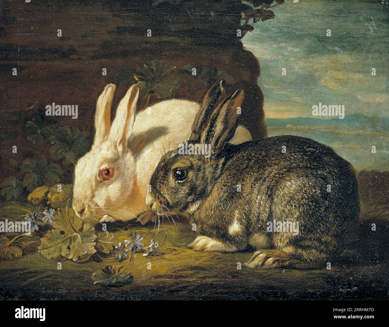 Two Rabbits, Detail from "Animal Piece", mid-late 17th century Stock ...