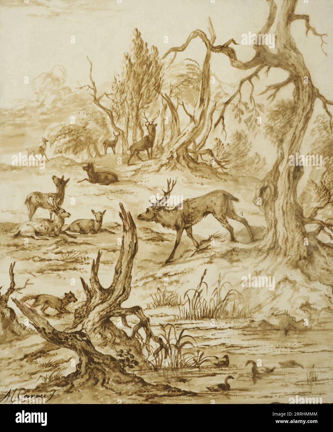 Deer and fox hi-res stock photography and images - Alamy