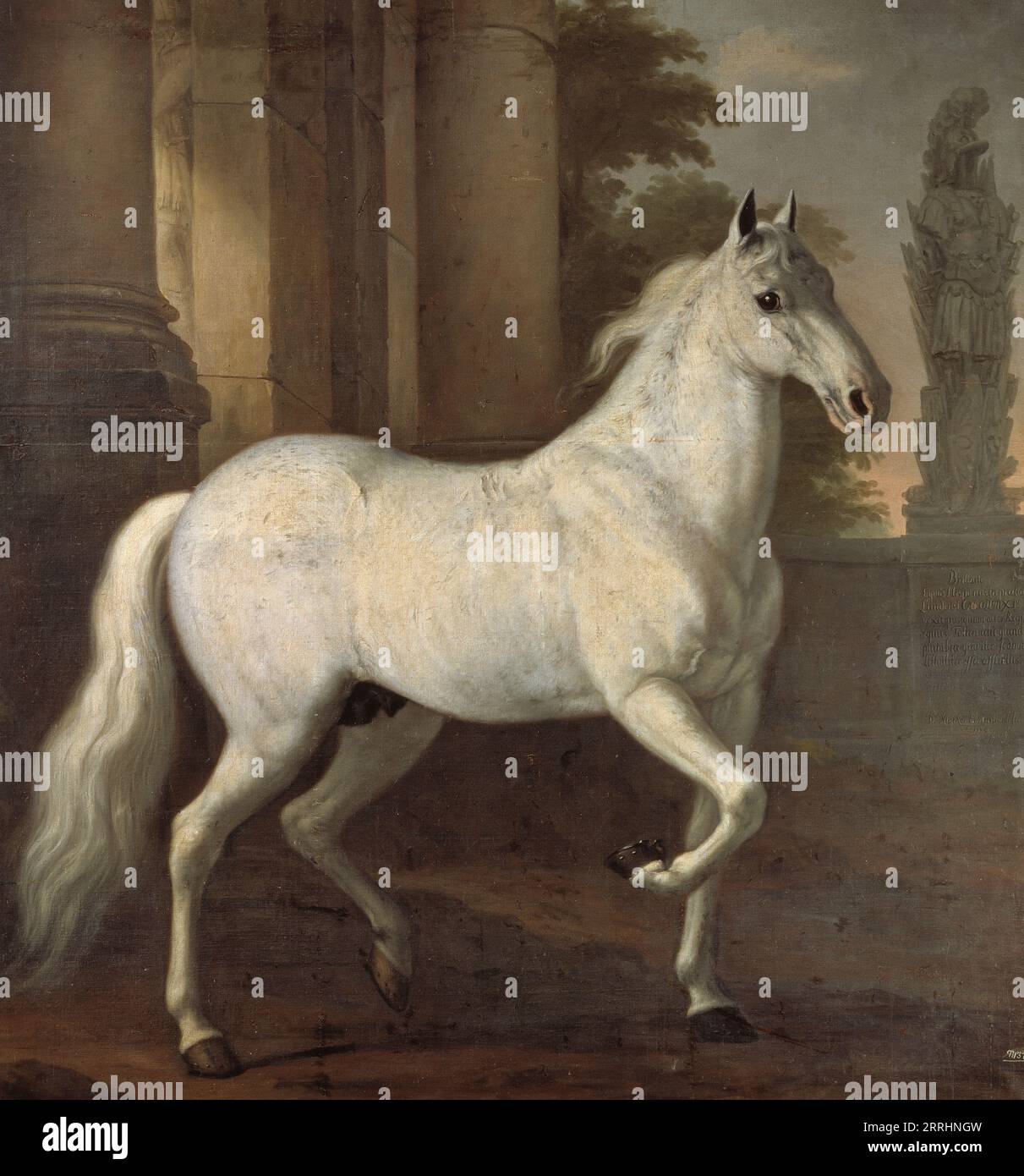 Charles XI's favourite horse, Brilliant, 1680 Stock Photo - Alamy