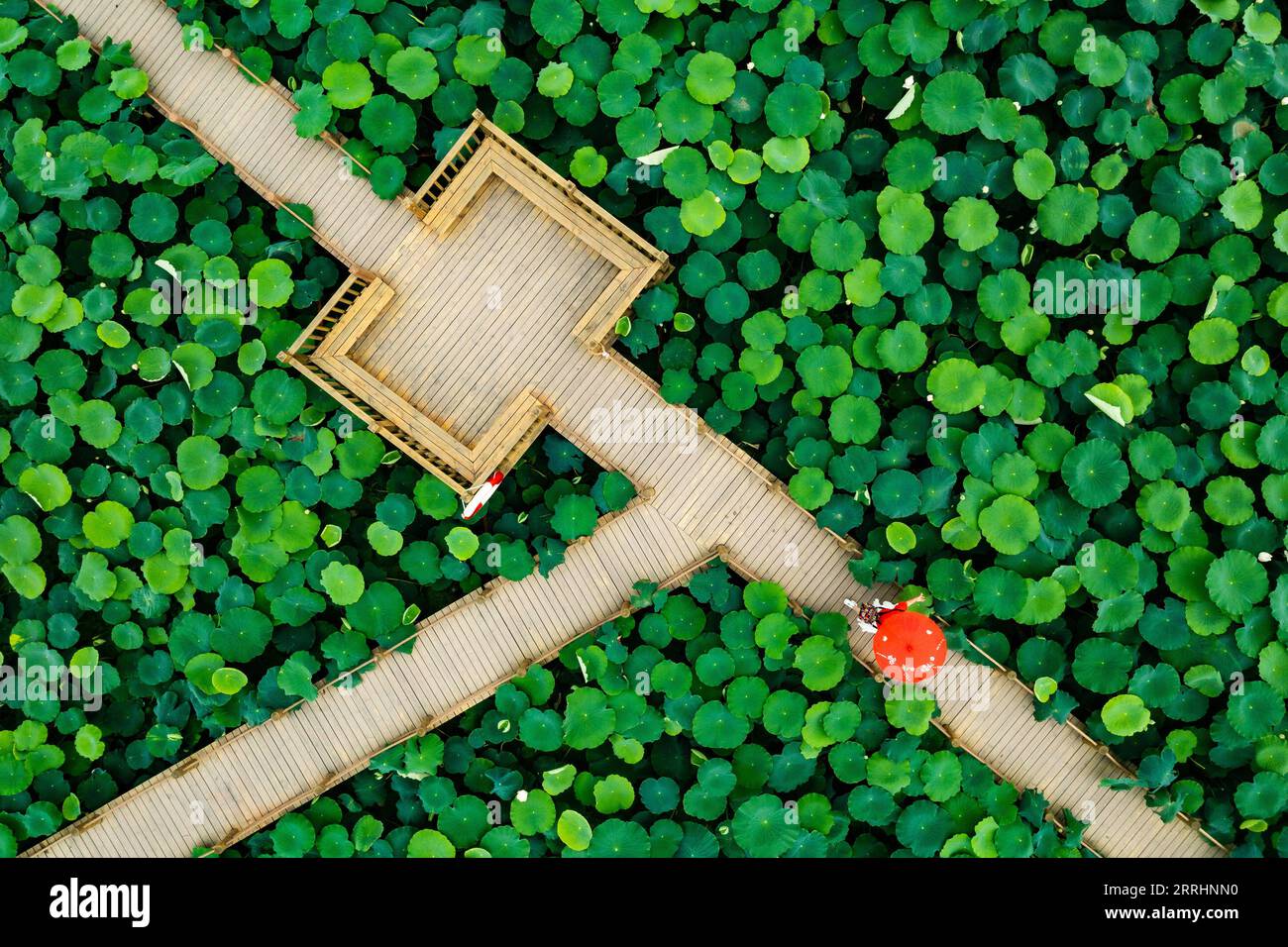 Meishan village hi-res stock photography and images - Alamy